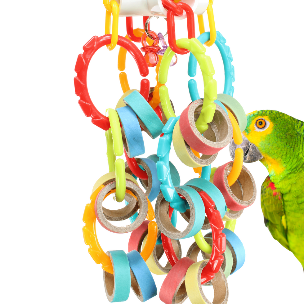 Bagel Bird Toys – Bonka Bird Toys