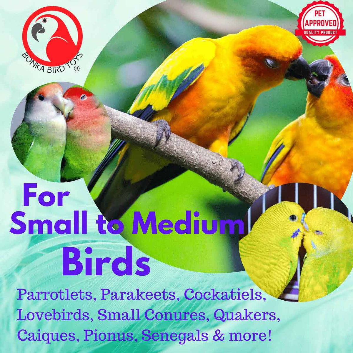 Bonka Bird Toys